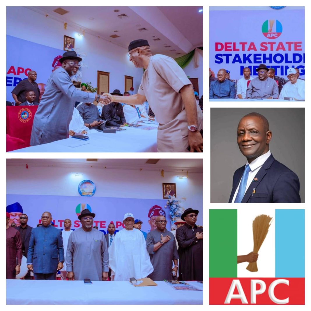 Senator Omo-Agege’s Appearance At Stakeholders Meeting Signals New Era ...